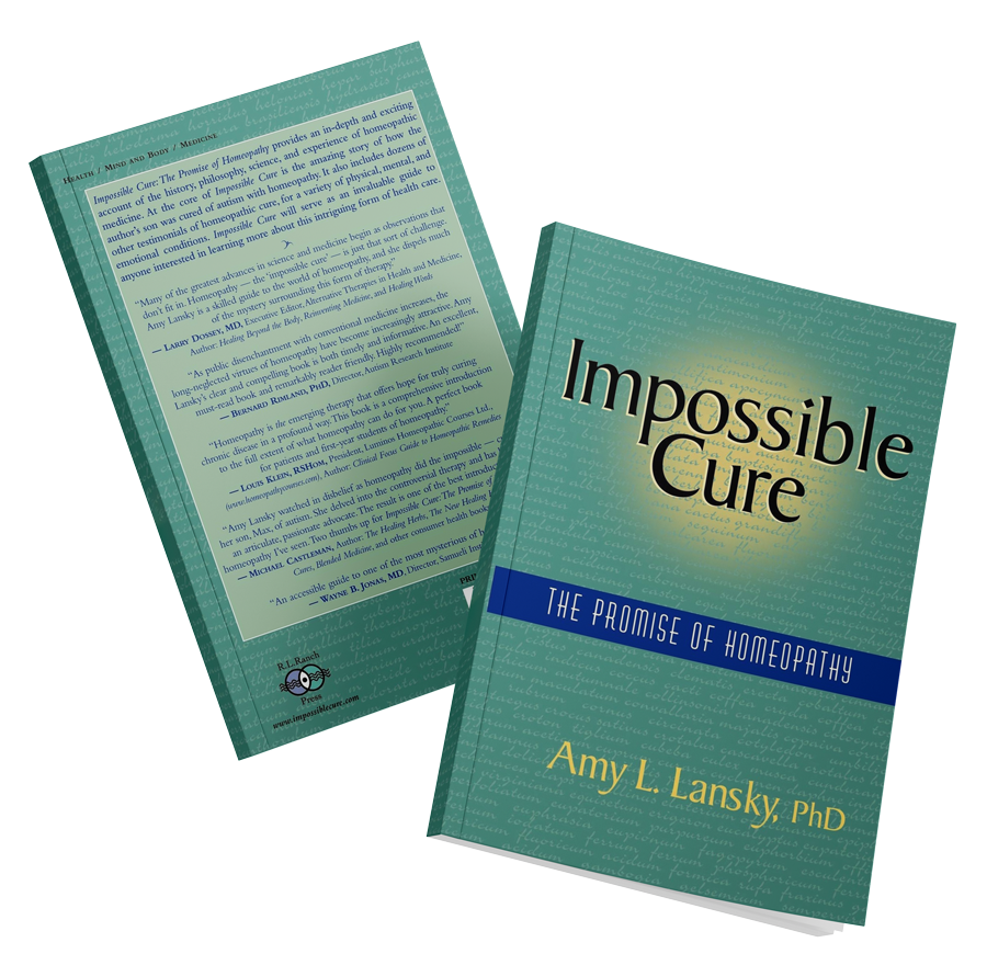 Impossible Cure - Amy Lansky